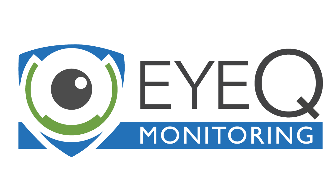 Case Study: EyeQ - Immix